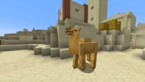 Minecraft – How to Tame and Ride Camels - Gamer Empire