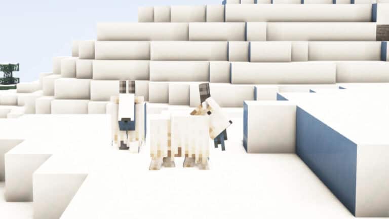 Minecraft – Everything You Need to Know About Goats - Gamer Empire