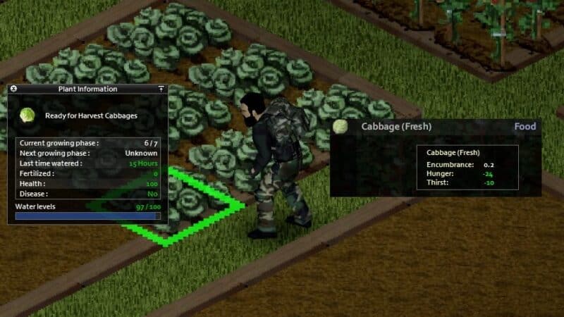 Project Zomboid – What Are the Best Crops to Grow? - Gamer Empire