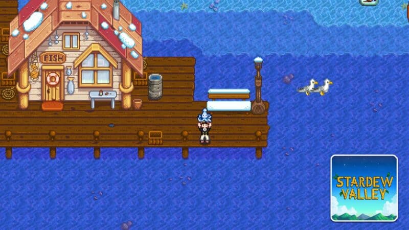Stardew Valley – How to Get to Calico Desert - Gamer Empire