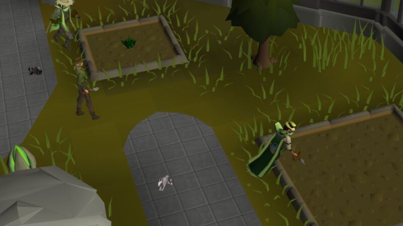 Old School RuneScape (OSRS) - How Does Farming Work? - Gamer Empire
