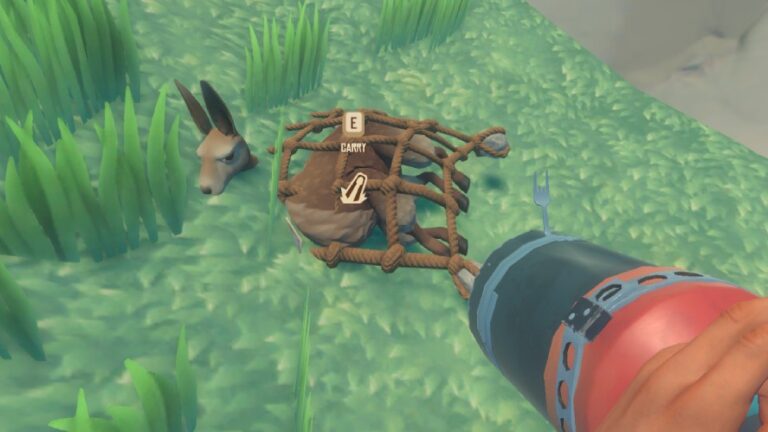 Raft – How to Catch Animals - Gamer Empire